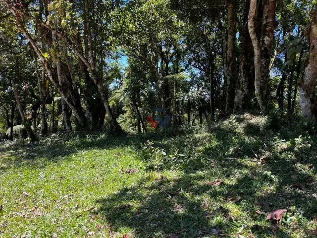 Sítio / Chácara para Venda em São José dos Pinhais/PR Zona Rural