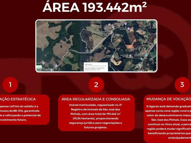 Sítio / Chácara para Venda em São José dos Pinhais/PR Agaraú