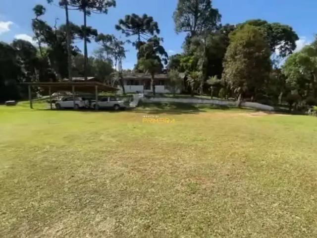 Sítio / Chácara para Venda em São José dos Pinhais/PR Borda do Campo 4 Quartos