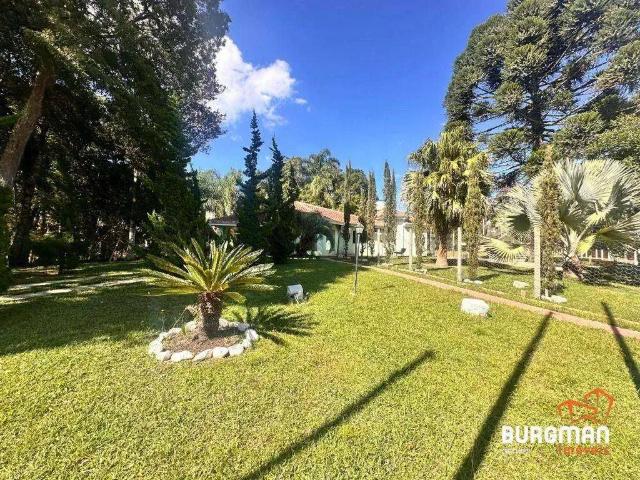 Sítio / Chácara para Venda em São José dos Pinhais/PR Borda do Campo 4 Quartos