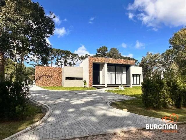 Sítio / Chácara para Venda em São José dos Pinhais/PR Borda do Campo 4 Quartos