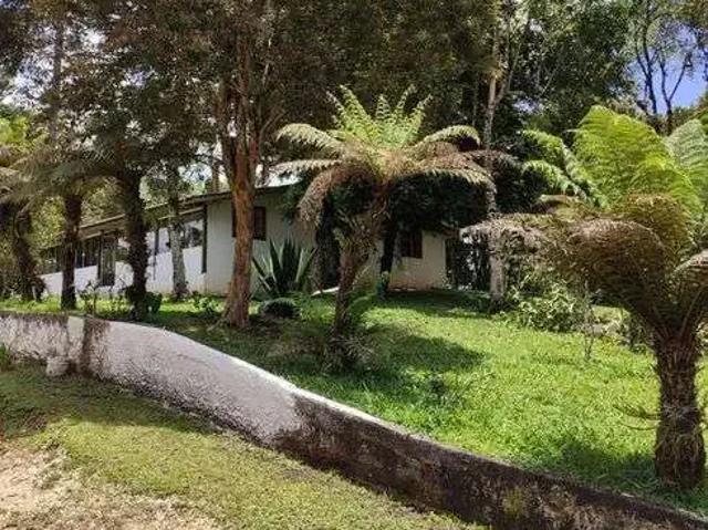 Sítio / Chácara para Venda em São José dos Pinhais/PR Borda do Campo 4 Quartos