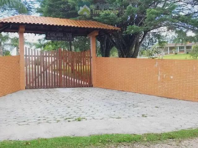 Sítio / Chácara para Venda em São José dos Pinhais/PR Borda do Campo 4 Quartos