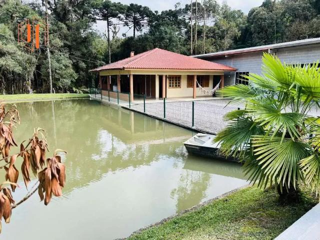 Sítio / Chácara para Venda em São José dos Pinhais/PR Borda do Campo