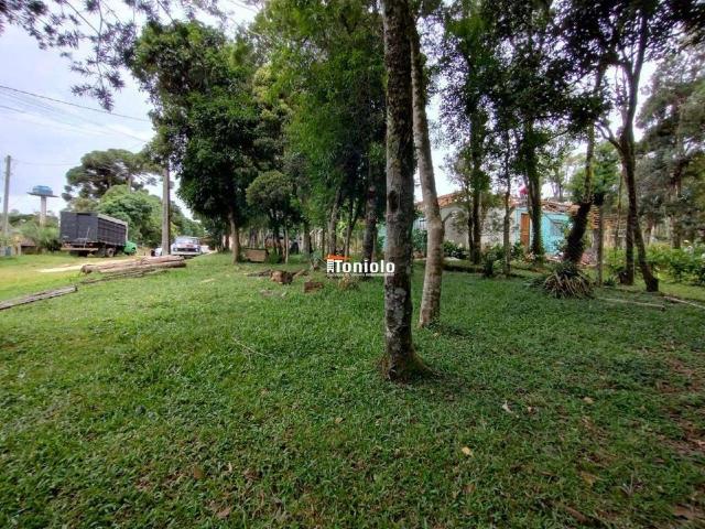 Sítio / Chácara para Venda em São José dos Pinhais/PR Borda do Campo