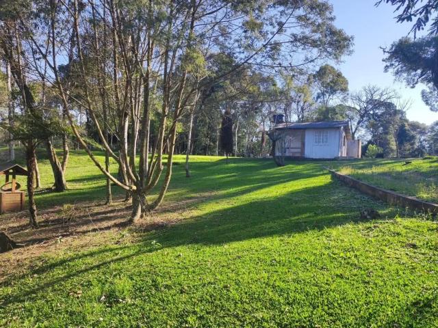 Sítio / Chácara para Venda em São José dos Pinhais/PR Borda do Campo 1 Quartos