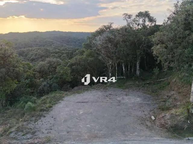 Sítio / Chácara para Venda em São José dos Pinhais/PR Borda do Campo 1 Quartos
