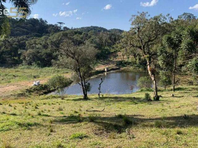 Sítio / Chácara para Venda em São José dos Pinhais/PR Borda do Campo 1 Quartos