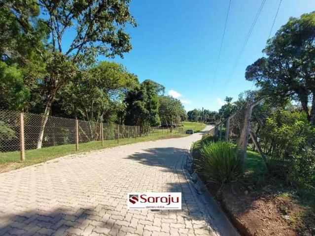 Sítio / Chácara para Venda em São José dos Pinhais/PR Borda do Campo 1 Quartos