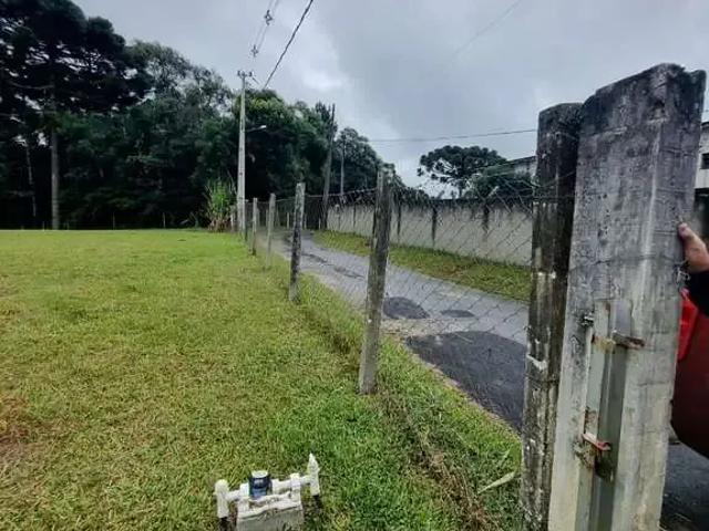 Sítio / Chácara para Venda em São José dos Pinhais/PR Borda do Campo 1 Quartos