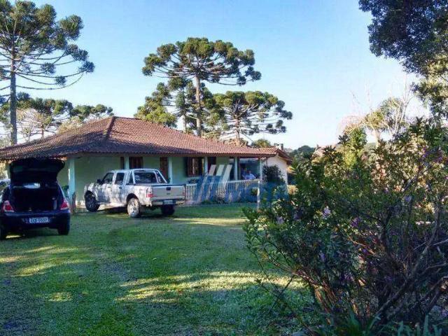 Sítio / Chácara para Venda em São José dos Pinhais/PR Borda do Campo 3 Quartos