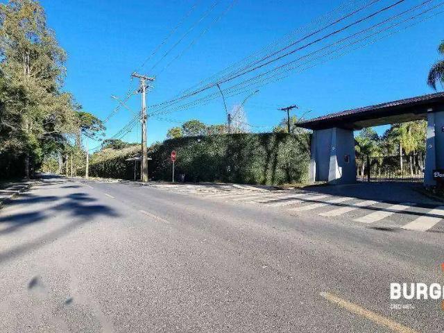 Sítio / Chácara para Venda em São José dos Pinhais/PR Borda do Campo 3 Quartos