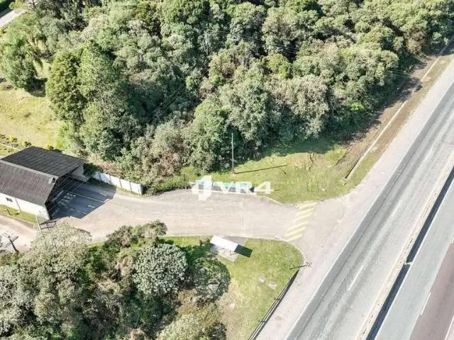 Sítio / Chácara para Venda em São José dos Pinhais/PR Borda do Campo 3 Quartos