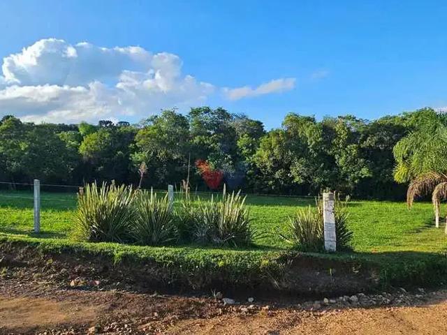 Sítio / Chácara para Venda em São José dos Pinhais/PR Campestre da Faxina