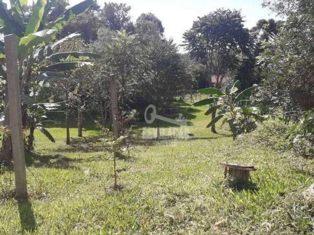 Sítio / Chácara para Venda em São José dos Pinhais/PR Campestre da Faxina 4 Quartos