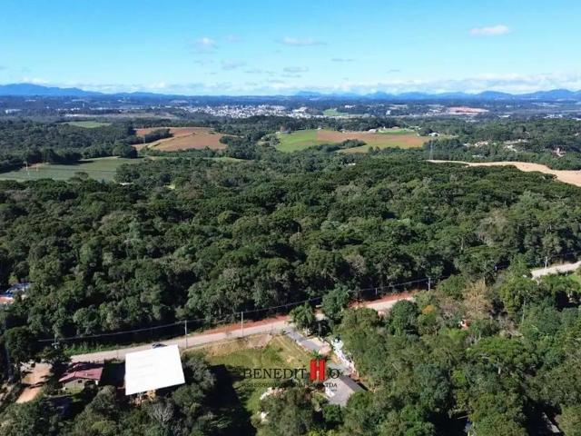 Sítio / Chácara para Venda em São José dos Pinhais/PR Campina do Taquaral 1 Quartos