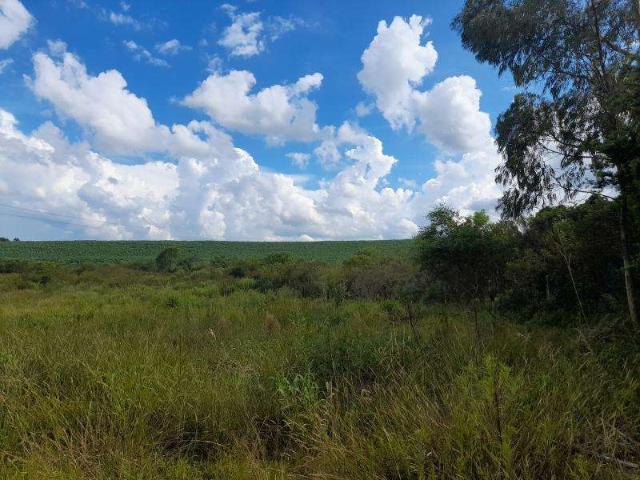 Sítio / Chácara para Venda em São José dos Pinhais/PR Campina do Taquaral 1 Quartos