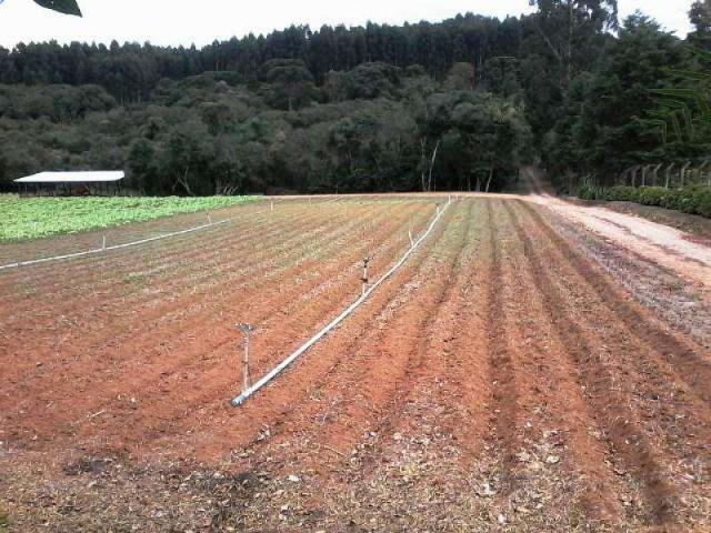 Sítio / Chácara para Venda em São José dos Pinhais/PR Campina do Taquaral