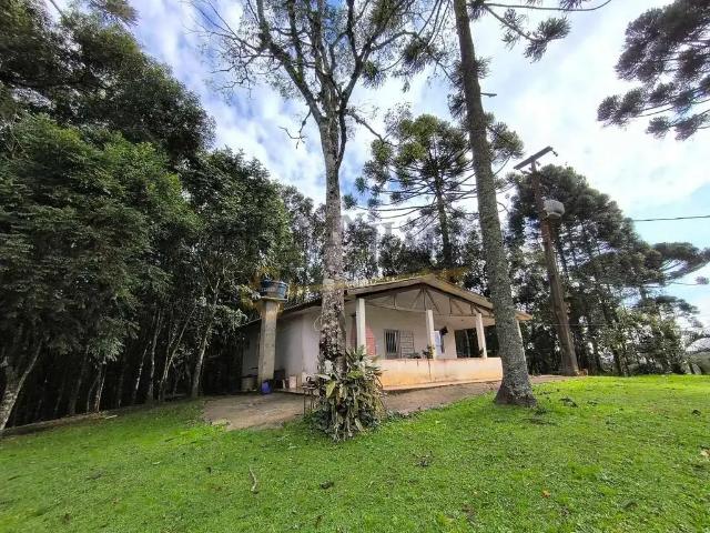 Sítio / Chácara para Venda em São José dos Pinhais/PR Campina do Taquaral