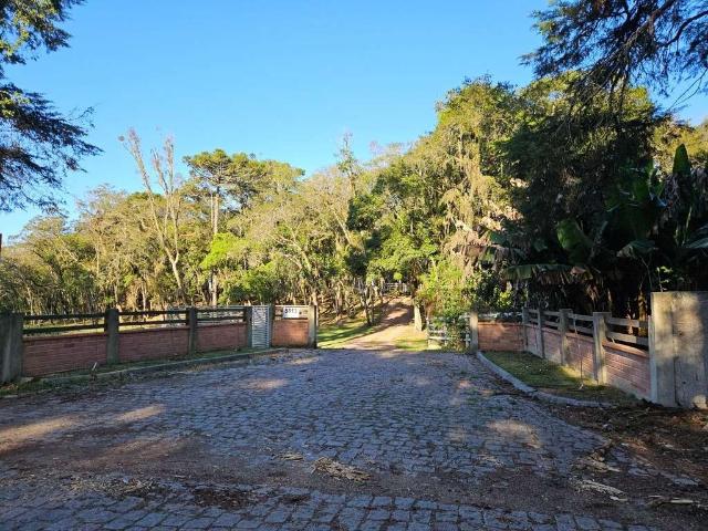 Sítio / Chácara para Venda em São José dos Pinhais/PR Campina do Taquaral 3 Quartos
