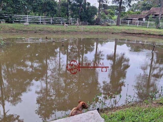 Sítio / Chácara para Venda em São José dos Pinhais/PR Campina do Taquaral 3 Quartos