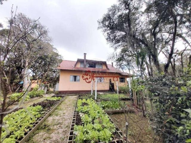 Sítio / Chácara para Venda em São José dos Pinhais/PR Campina do Taquaral 3 Quartos