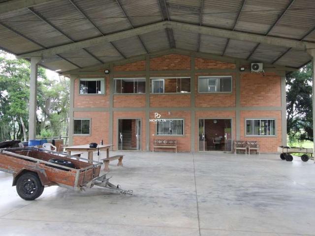 Sítio / Chácara para Venda em São José dos Pinhais/PR Campina do Taquaral 3 Quartos