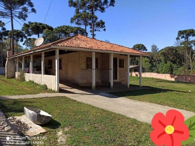Sítio / Chácara para Venda em São José dos Pinhais/PR Campina do Taquaral 4 Quartos