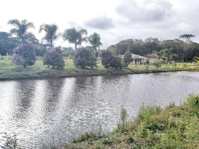 Sítio / Chácara para Venda em São José dos Pinhais/PR Campina do Taquaral 4 Quartos