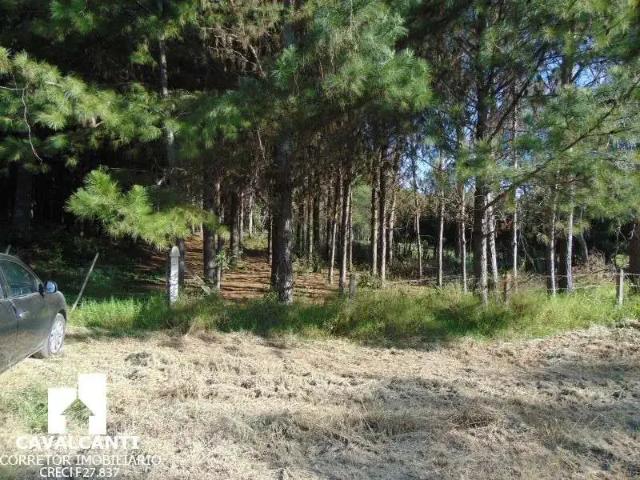 Sítio / Chácara para Venda em São José dos Pinhais/PR Campina do Taquaral