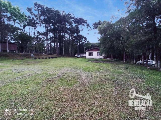 Sítio / Chácara para Venda em São José dos Pinhais/PR Campo Largo da Roseira 2 Quartos
