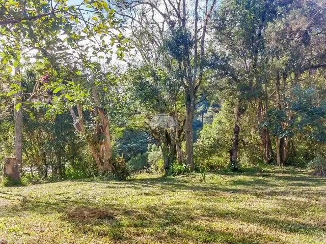 Sítio / Chácara para Venda em São José dos Pinhais/PR Contenda 4 Quartos