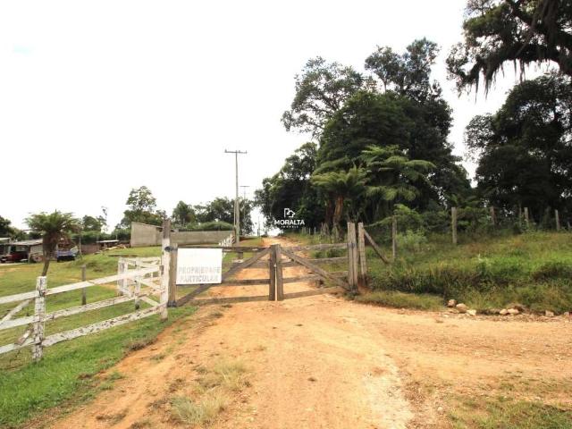 Sítio / Chácara para Venda em São José dos Pinhais/PR Contenda