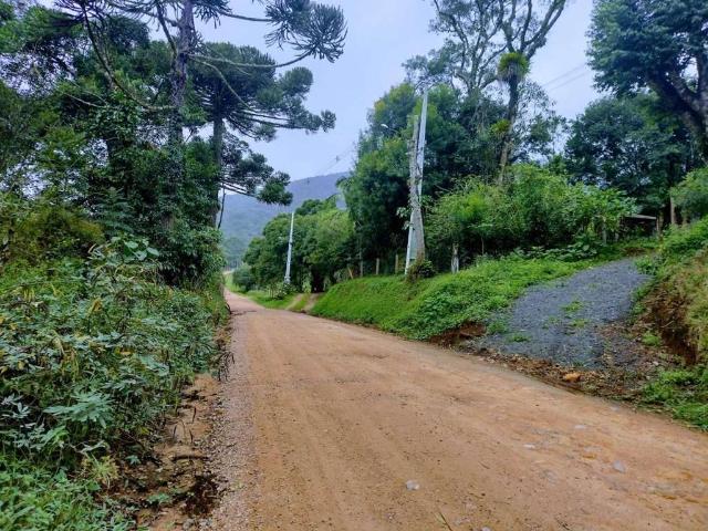 Sítio / Chácara para Venda em São José dos Pinhais/PR Contenda