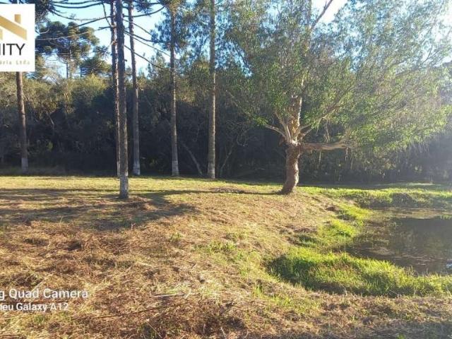 Sítio / Chácara para Venda em São José dos Pinhais/PR Contenda