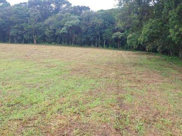Sítio / Chácara para Venda em São José dos Pinhais/PR Contenda