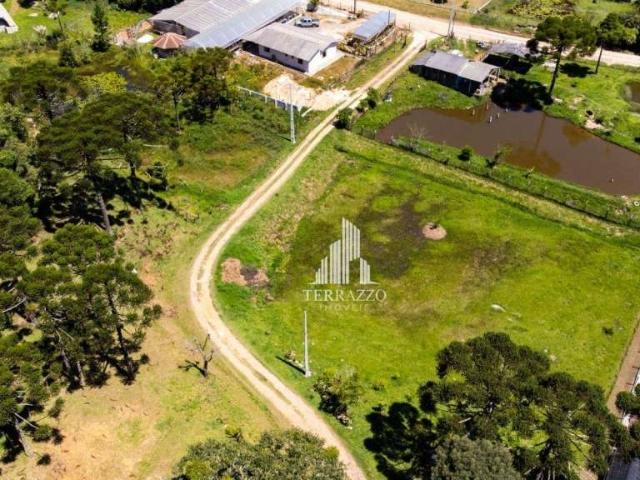Sítio / Chácara para Venda em São José dos Pinhais/PR Contenda 3 Quartos
