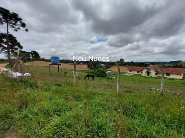 Sítio / Chácara para Venda em São José dos Pinhais/PR Contenda 3 Quartos