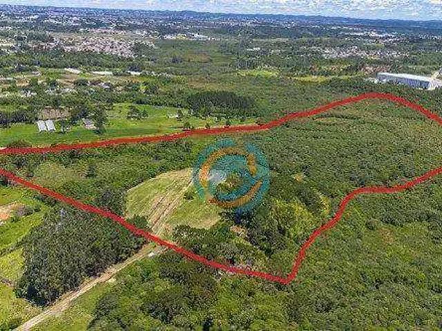 Sítio / Chácara para Venda em São José dos Pinhais/PR Colônia Murici
