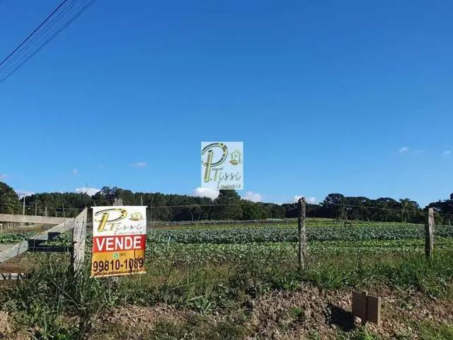 Sítio / Chácara para Venda em São José dos Pinhais/PR Colônia Murici