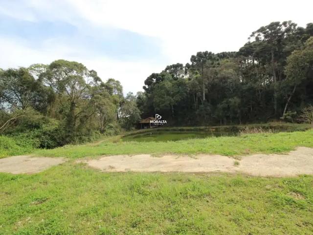 Sítio / Chácara para Venda em São José dos Pinhais/PR Colônia Murici