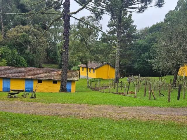 Sítio / Chácara para Venda em São José dos Pinhais/PR Colônia Murici