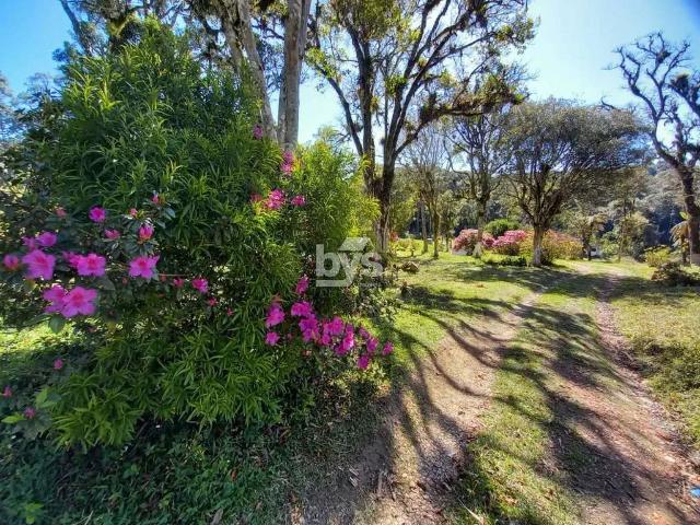 Sítio / Chácara para Venda em São José dos Pinhais/PR Colônia Murici 1 Quartos