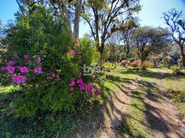 Sítio / Chácara para Venda em São José dos Pinhais/PR Colônia Murici 1 Quartos