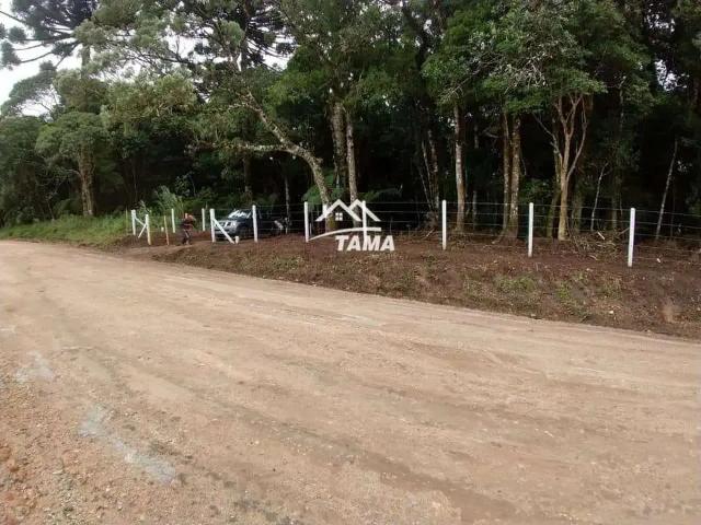 Sítio / Chácara para Venda em São José dos Pinhais/PR Colônia Murici 1 Quartos