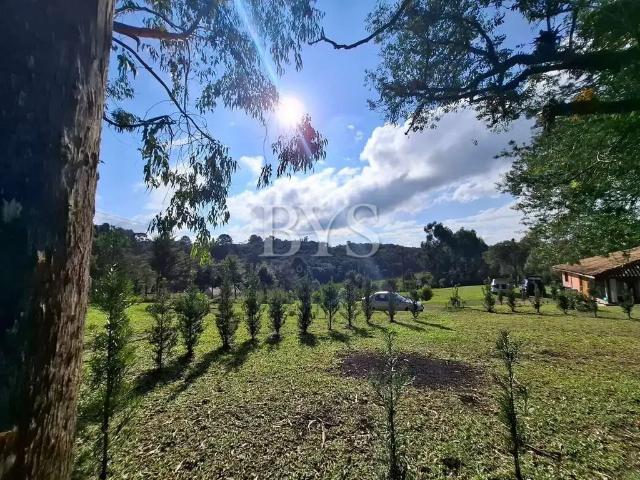 Sítio / Chácara para Venda em São José dos Pinhais/PR Colônia Murici