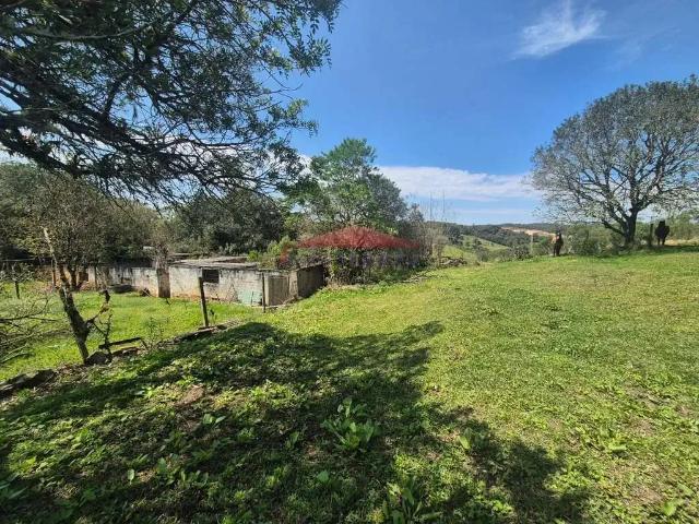 Sítio / Chácara para Venda em São José dos Pinhais/PR Colônia Murici
