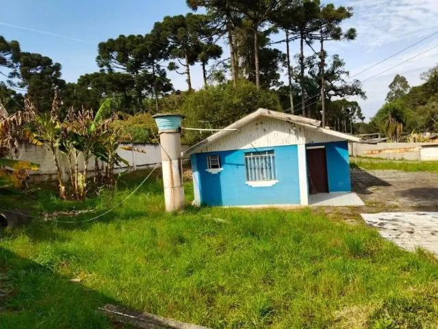 Sítio / Chácara para Venda em São José dos Pinhais/PR Colônia Murici 3 Quartos