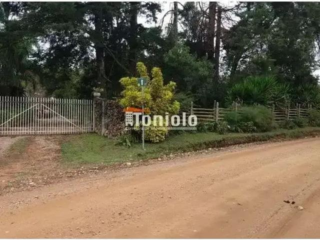 Sítio / Chácara para Venda em São José dos Pinhais/PR Colônia Murici 3 Quartos