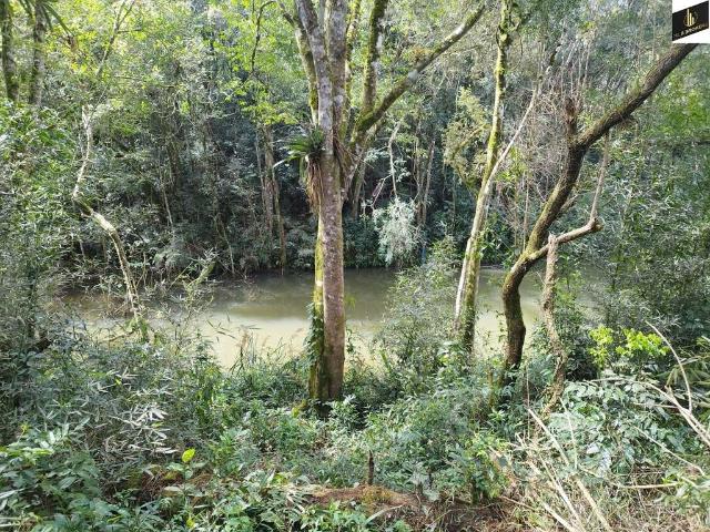 Sítio / Chácara para Venda em São José dos Pinhais/PR Colônia Murici 3 Quartos
